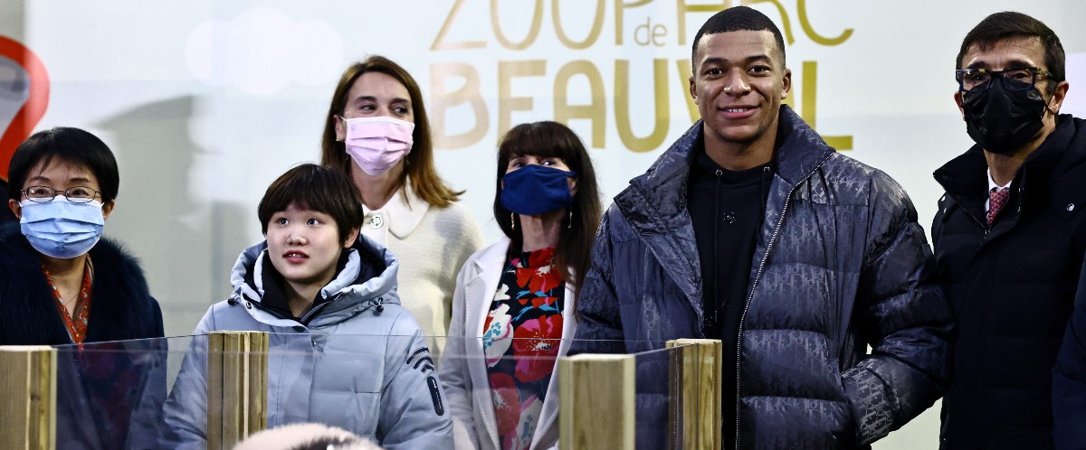 Mbappé plus célèbre que ses pandas